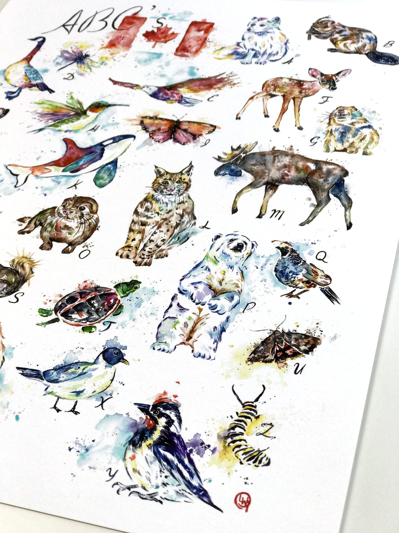 Canadian Wildlife ABCs - Whitehouse Art