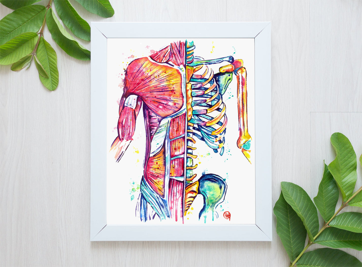 Anatomical Painting - Muscular Anatomy Watercolor Painting Art Print ...