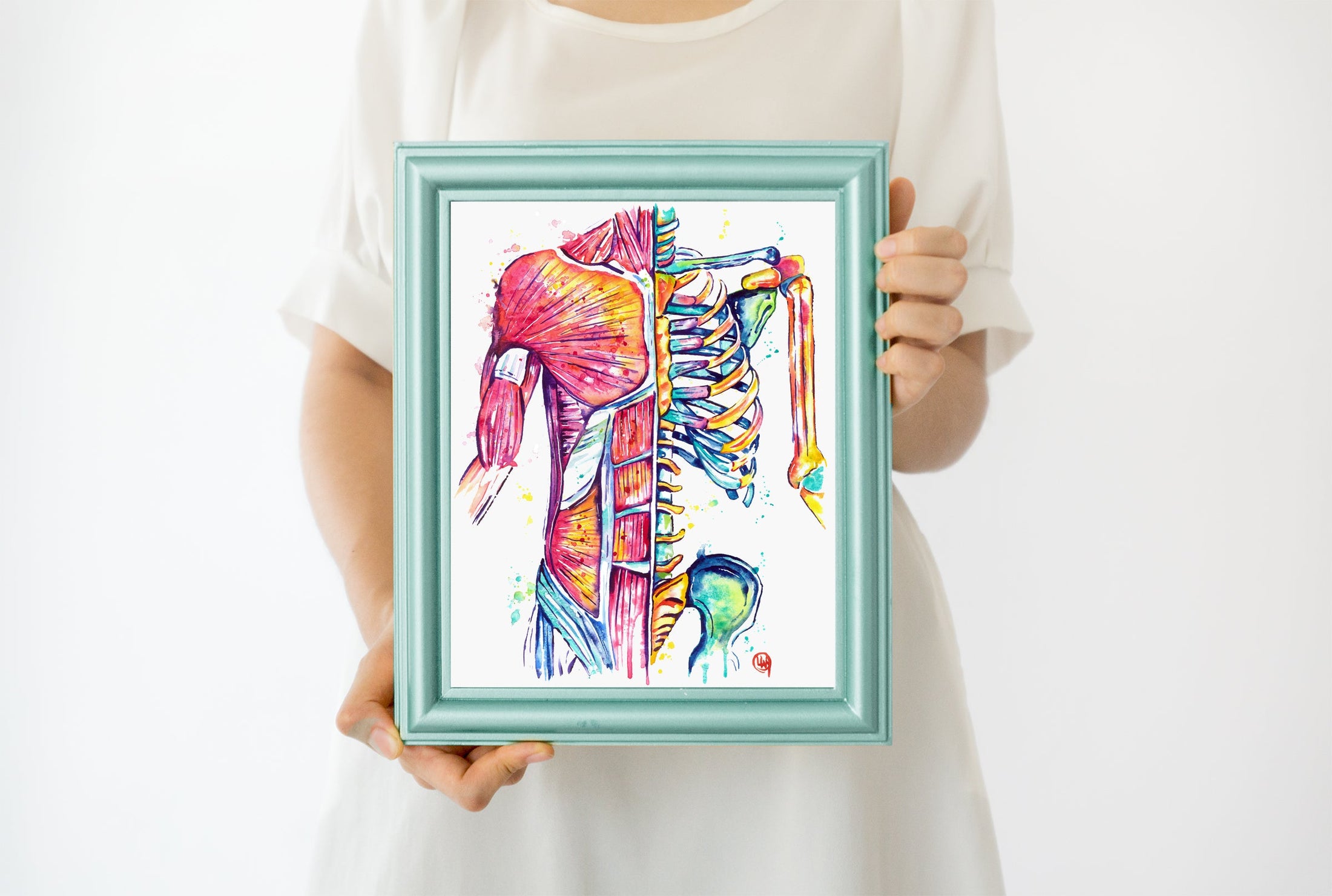 Anatomical Painting - Muscular Anatomy Watercolor Painting Art Print ...