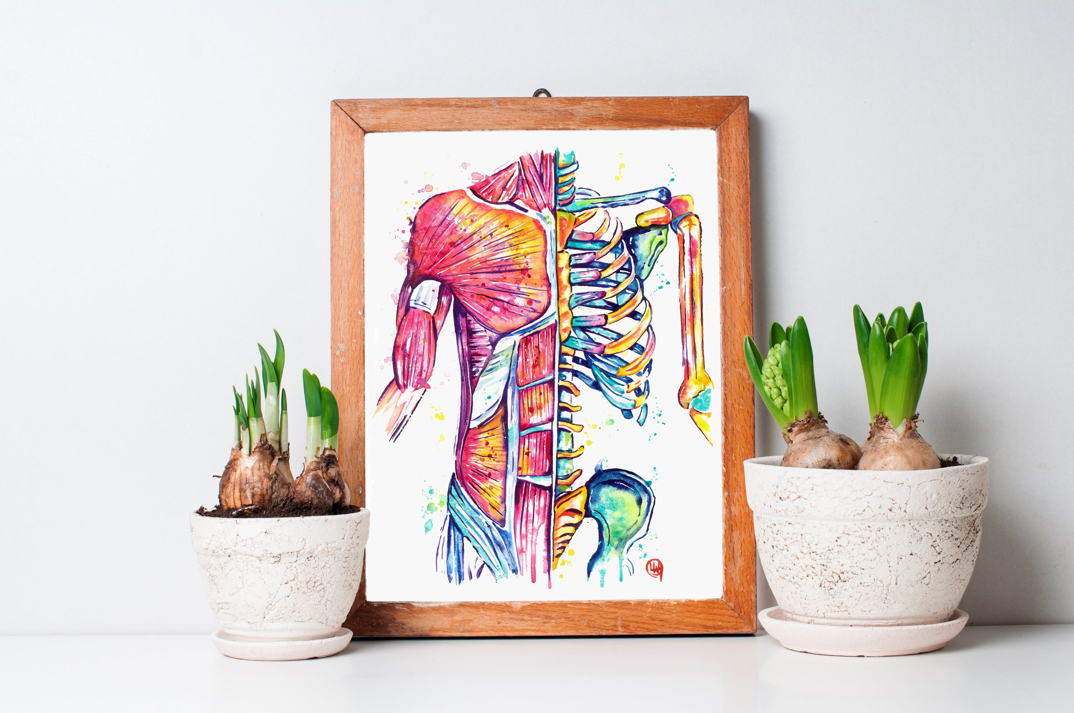 Anatomical Painting - Muscular Anatomy Watercolor Painting Art Print ...