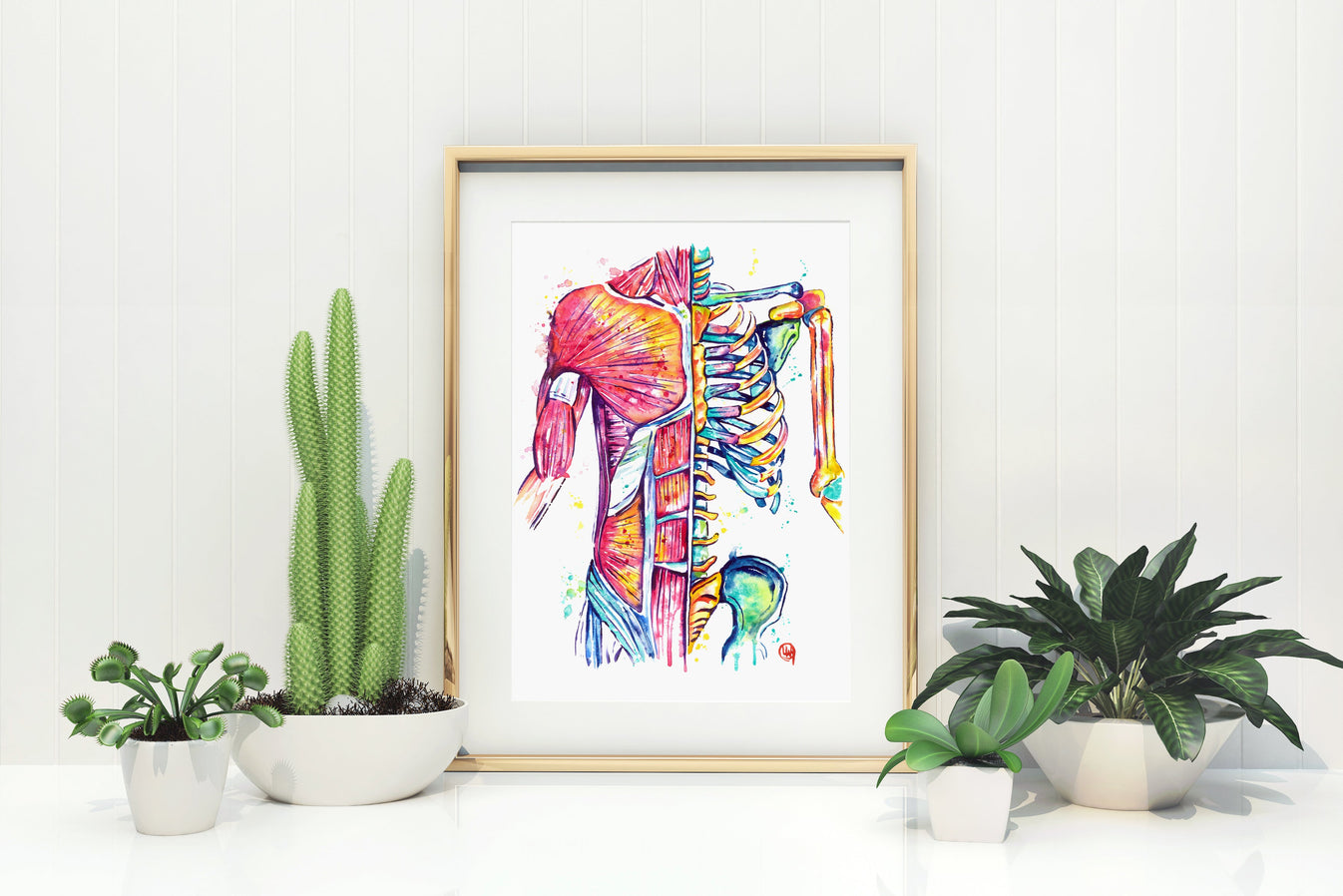 Anatomical Painting - Muscular Anatomy Watercolor Painting Art Print ...